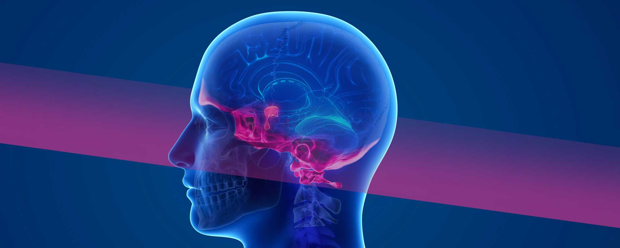 Skull Base and Pituitary Tumors | Penn State Health