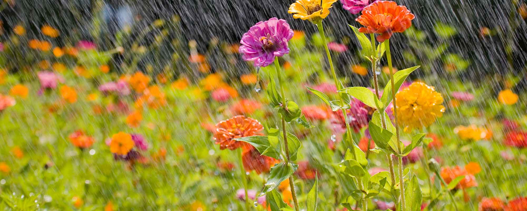 Weather | Penn State Health