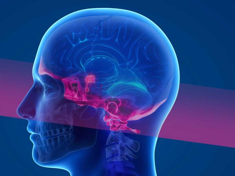 Skull Base and Pituitary Tumors | Penn State Health